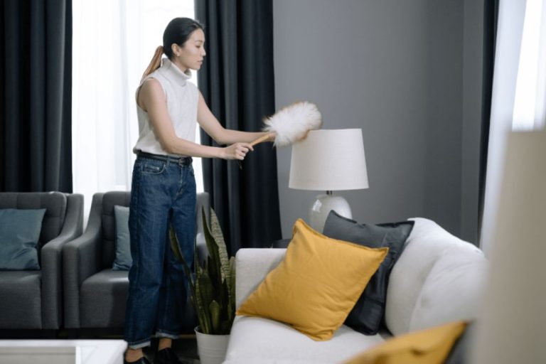 Effective Strategies to Keep Your Home Dust-Free Year-Round | Ruby Red Cleaning